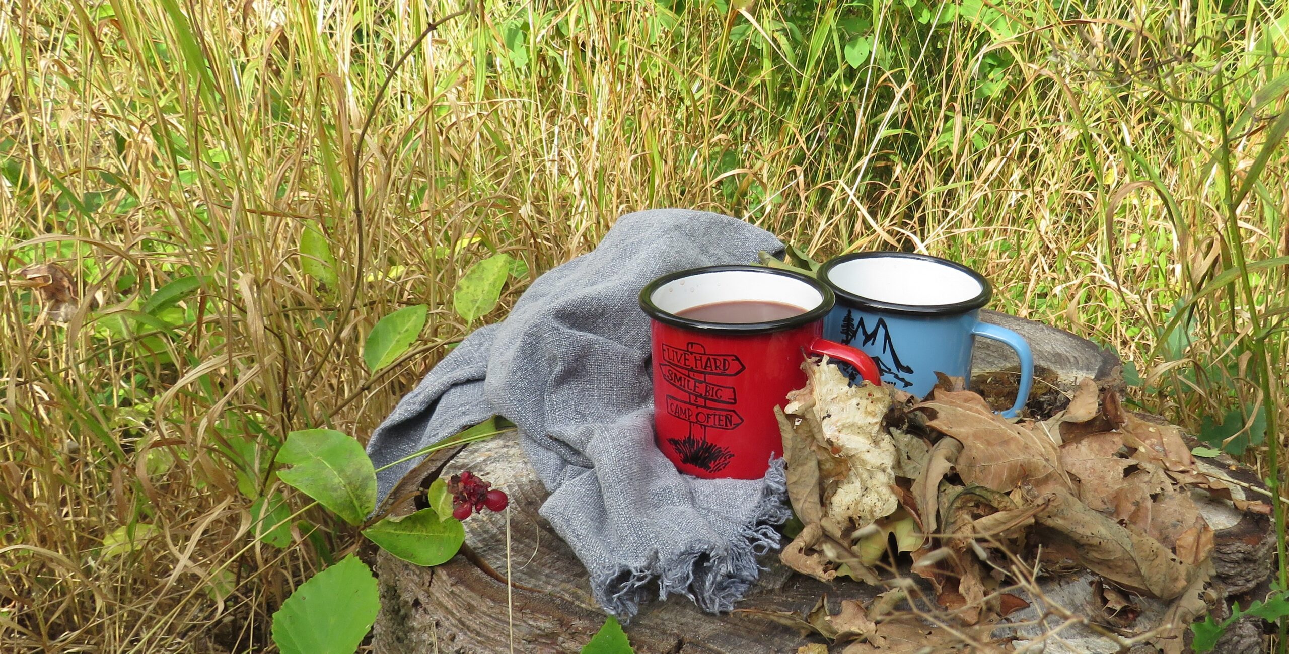 Varm kakao og kage på vandreturen i Mols Bjerge - NATUR MOLS